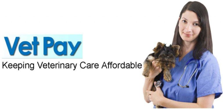 Vet Pay - Vet Ipswich caring for local pets - Booval Vet Hospital ...