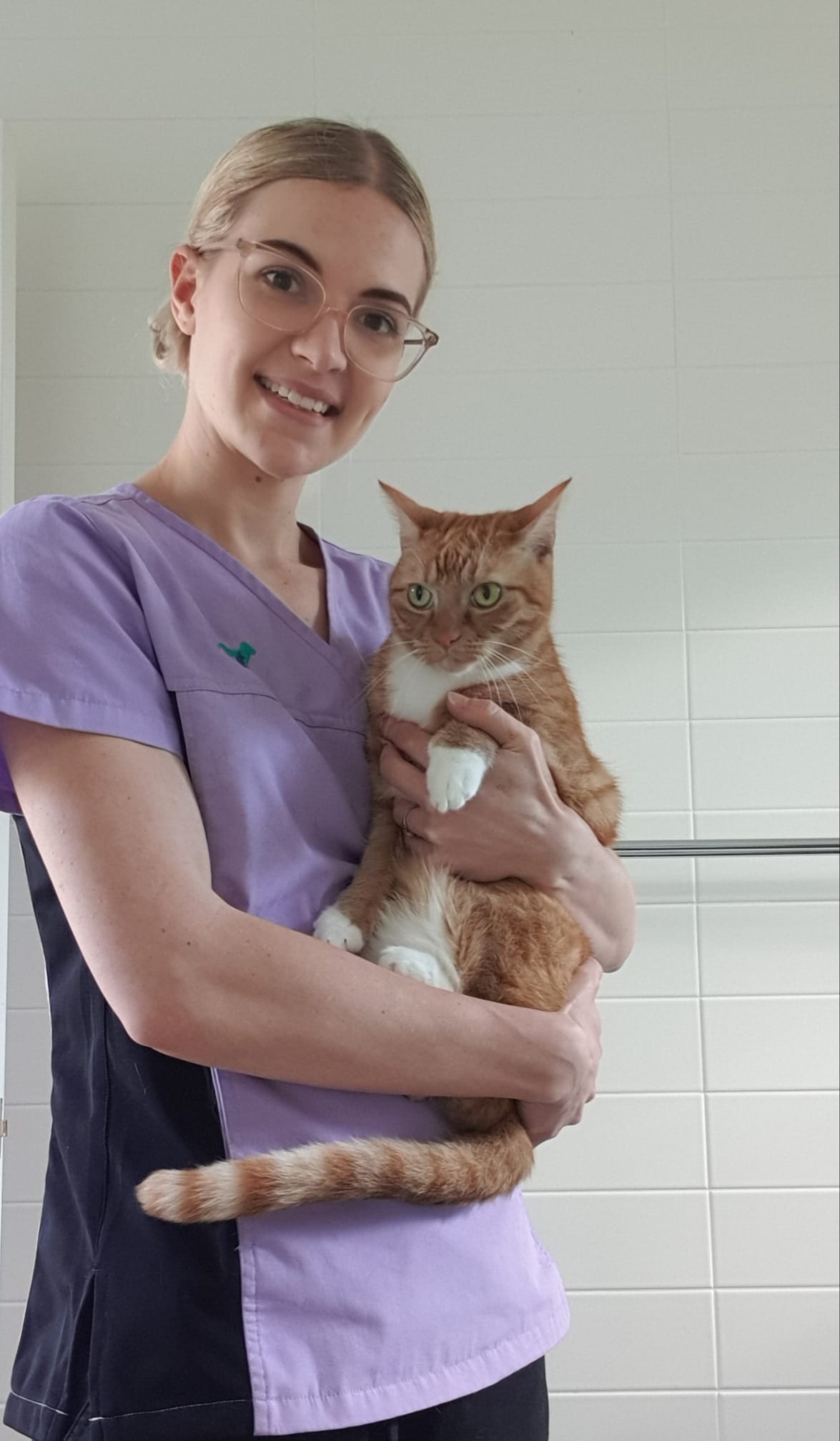 Olivia - Vet Ipswich caring for local pets - Booval Vet Hospital ...