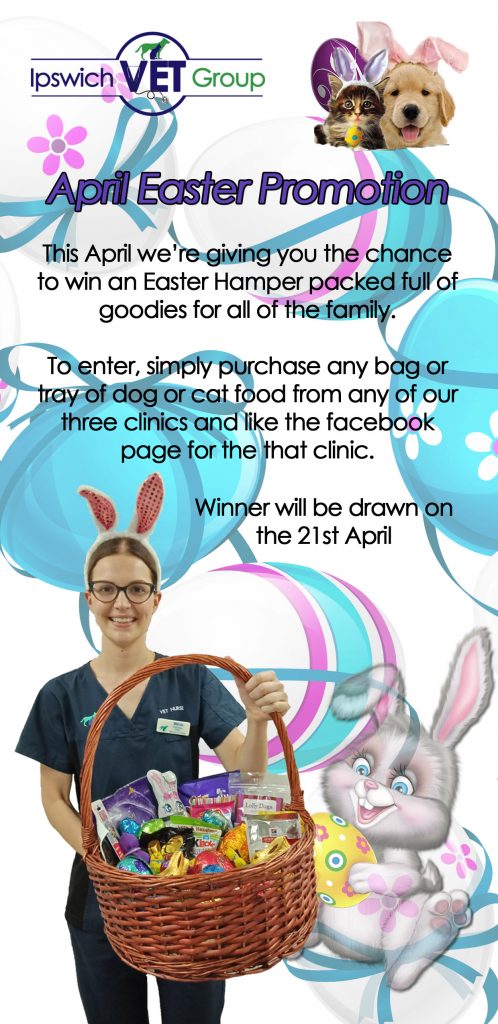 Easter Promo - Vet Ipswich caring for local pets - Booval Vet Hospital ...